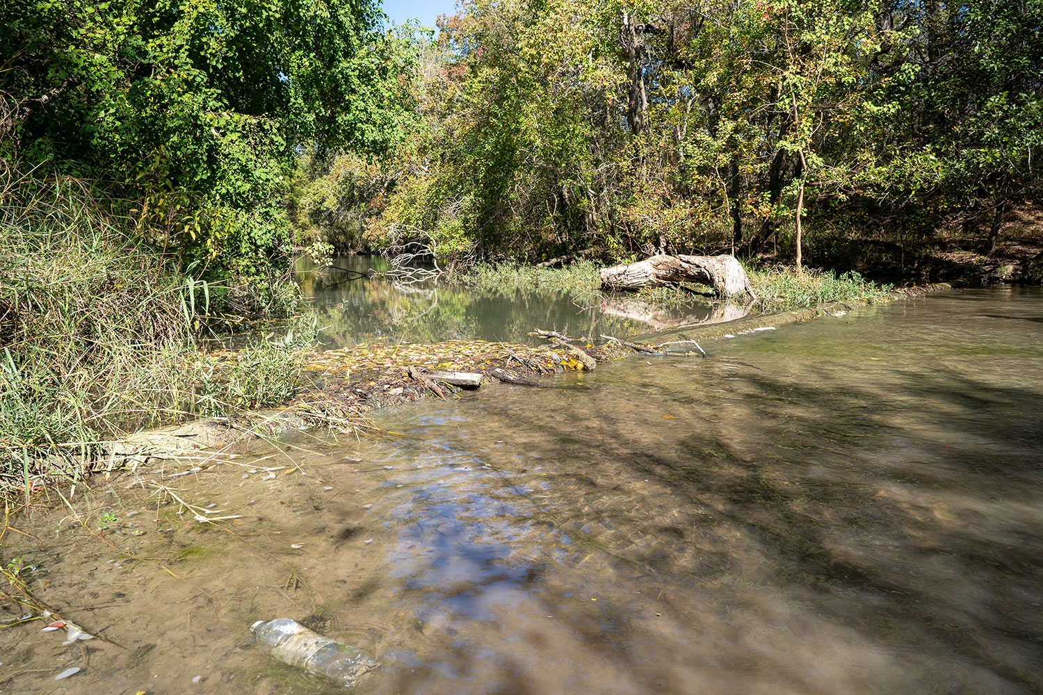 Our Watershed - Geronimo & Alligator Creeks Watershed Partnership